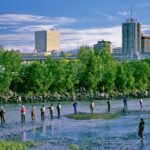 Private Transfer, Whittier Cruise ship to Anchorage - Who Will Love This Experience?