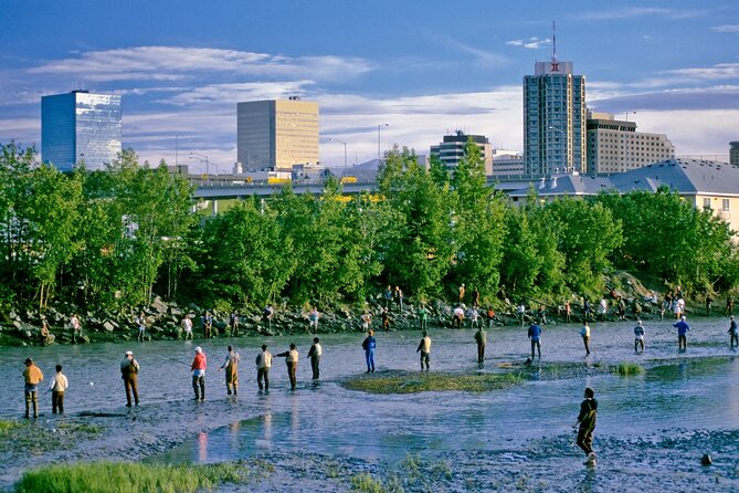 Private Transfer, Whittier Cruise ship to Anchorage - Who Will Love This Experience?