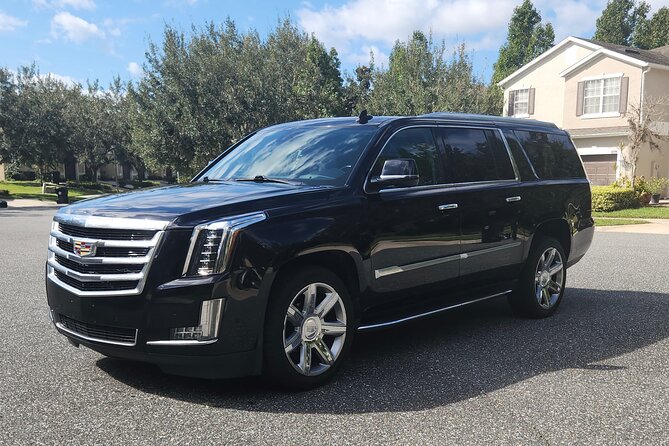 Private Transfers from Disney Resort Area to Port Canaveral - Pricing and Value