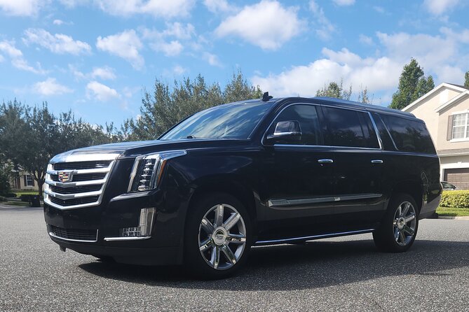 Private Transfers from Disney Resort Area to Port Canaveral - Who Will Love This Service?
