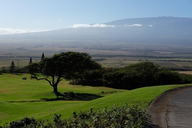Private Tropics of Maui & Rainforest Valley: Kahului, Wailea, Kihei pick up - Who Will Love This Tour?