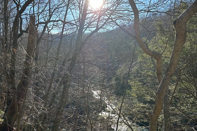 Private Trout Fishing Excursion in Virginia - Who Will Love This Tour?