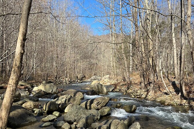 Private Trout Fishing Excursion in Virginia - Final Thoughts