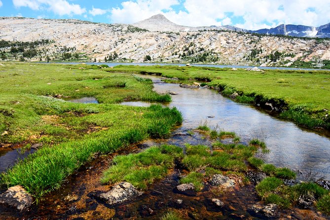 Private Tuolumne Meadows Hiking Tour - Key Points