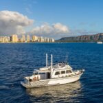 Private Turtle Canyon Snorkel Tour - Up to 6 Passengers - Practical Tips for Your Trip