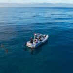 Private Turtle Snorkel & Cruise Waikiki - The Experience: What You Can Expect
