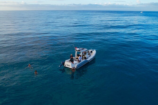Private Turtle Snorkel & Cruise Waikiki - The Experience: What You Can Expect