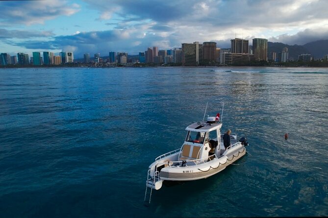 Private Turtle Snorkel & Cruise Waikiki - FAQ