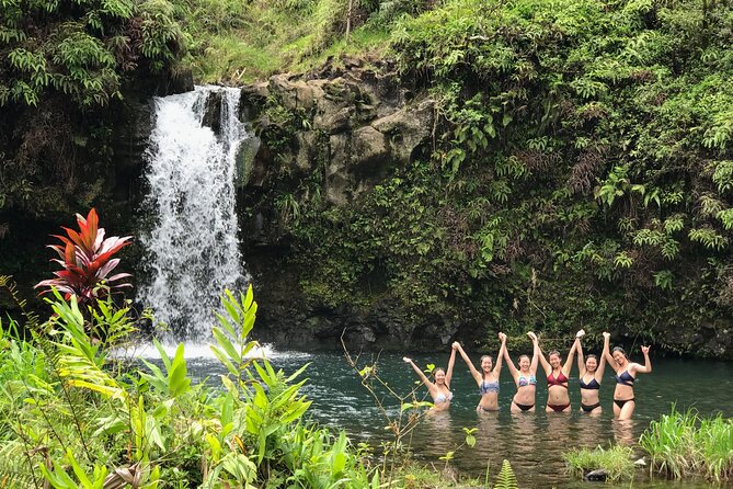 Private Unique Road to Hana Adventure - Who Should Consider This Tour?