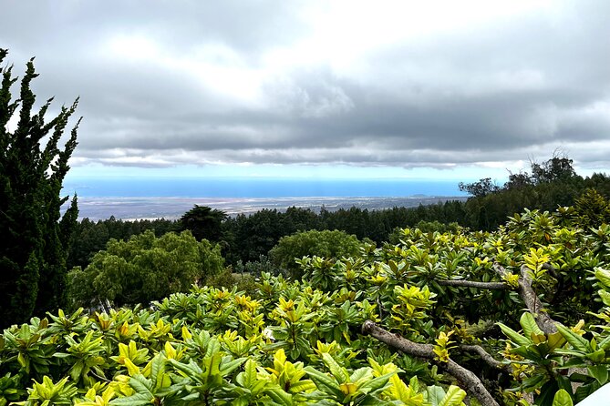 Private Upcountry Farm Tour on Maui - The Value and Experience