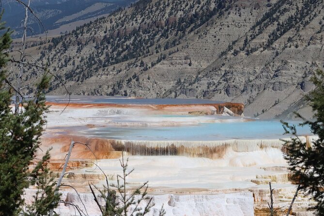 Private Upper Loop Grand Teton, Lower Loop Scenic & Wildlife 3 Day Tours - Day 1: Yellowstone’s Geysers and Grand Canyon