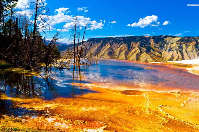 Private Upper Loop Tour of Yellowstone National Park - Why Choose the Private Upper Loop Tour?