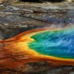 Private Upper Loop Tour of Yellowstone National Park - What Guests Say About the Experience