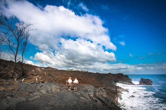 Private VAN Tour Hilo - Key Points