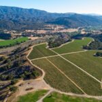 Private Vineyard Tour and Wine Tasting - Final Thoughts