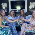 Private Vineyard Tour in Party Bus (4 Vineyards), Includes Lunch - The Sum Up