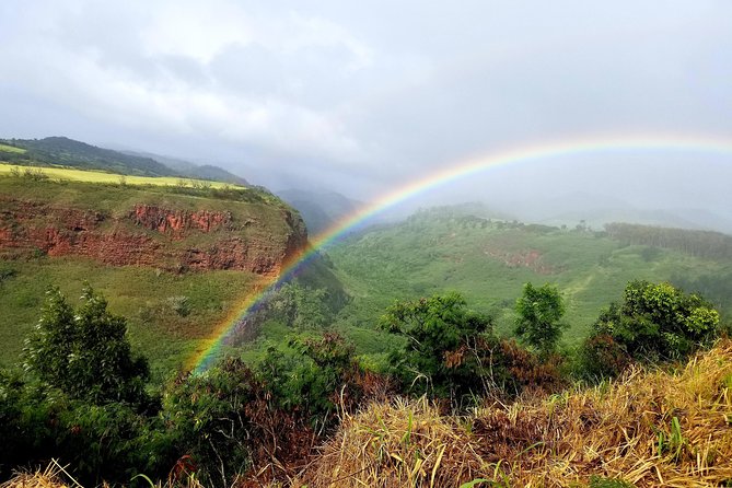 Private Waimea Canyon Tour - The Sum Up