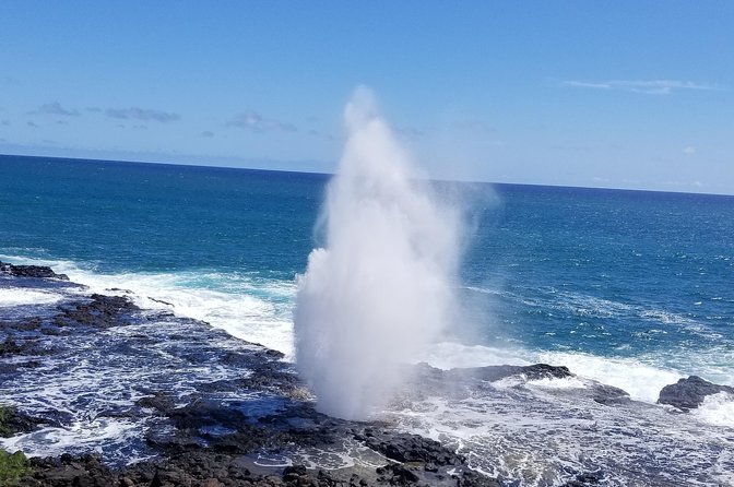 Private Waimea Canyon Tour - FAQ