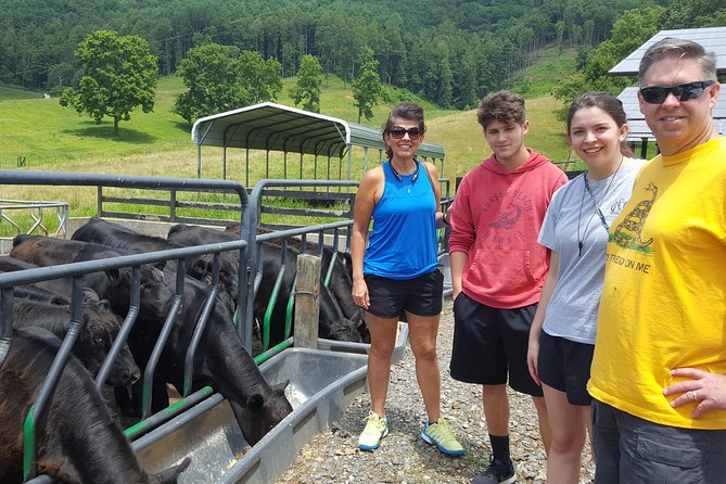 Private Walking Tour of a Real Working Cattle Ranch - Key Points  