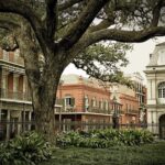 Private Walking Tour of New Orleans with Licensed Tour Guide - Final Thoughts