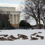 Private Washington DC Tour with Changing of the Guard Ceremony - What Makes This Tour Stand Out?