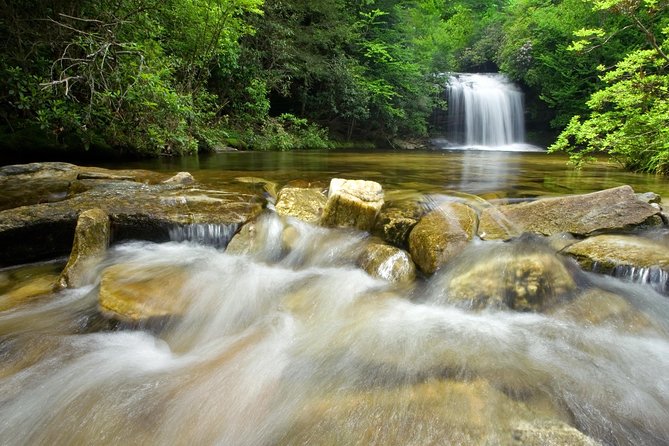 Private Waterfall and Blue Ridge Parkway Tour with a Naturalist - The Value of a Private, Flexible Tour