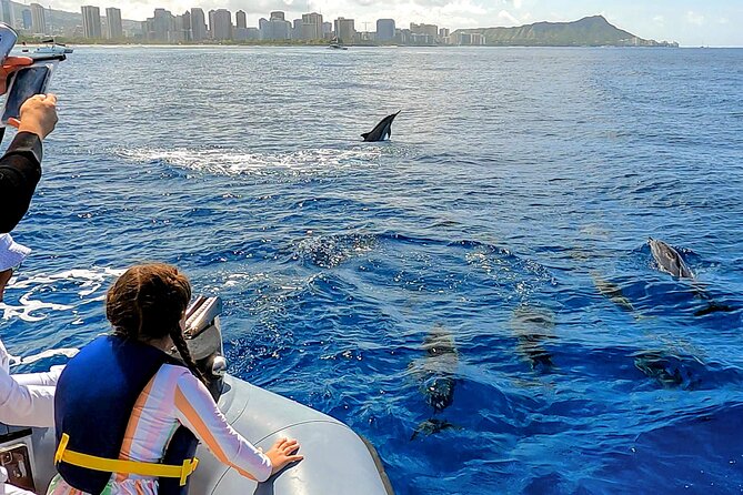 Private Whale Watching Adventure - Practical Tips for a Smooth Experience