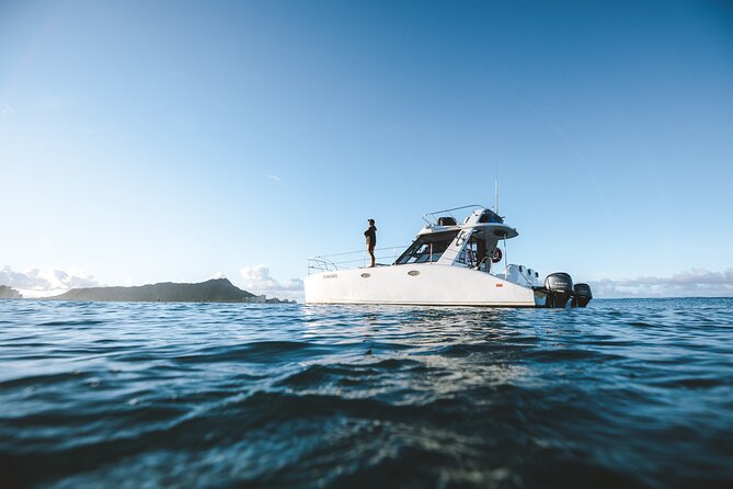 Private Whale Watching and Coastal Swimming Tour Honolulu - Key Points