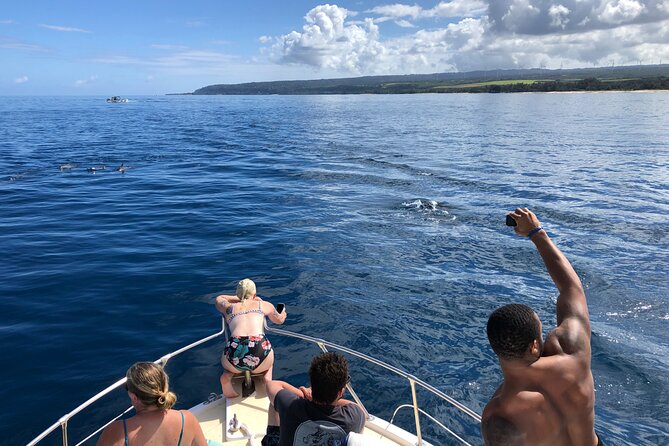 Private Whale Watching Safari from North Shore Oahu - FAQ