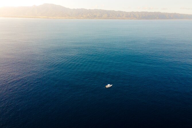 Private Whale Watching Tour of Oahu - Frequently Asked Questions