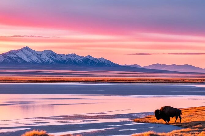 Private Wildlife and Scenic tour on Antelope Island - An In-Depth Look at the Antelope Island Private Tour