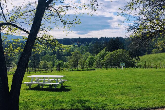 Private Willamette Valley Character Winery Tour - Practicalities and Tips for Booking