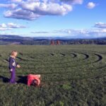 Private Willamette Valley Character Winery Tour - Final Thoughts: Is This Tour Right for You?