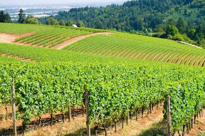 Private Willamette Valley Wine Tour from Portland (All tasting fees included) - Key Points