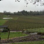Private - Willamette Valley Wine Tour From Portland (tasting fees included) - Why This Tour Offers Great Value