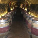 Private Wine Tour from San Francisco to Napa - Final Thoughts