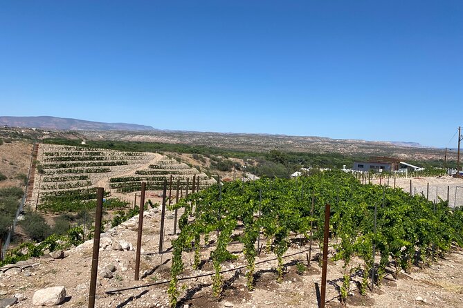 Private Wine Tour from Sedona - Arizonas Most Luxurious Wine Tour - Final Thoughts