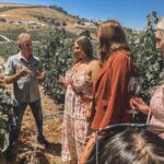 Private Wine Tour in Paso Robles - Authentic Experiences from Reviews