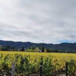 Private Wine Tour of Napa Valley - FAQ