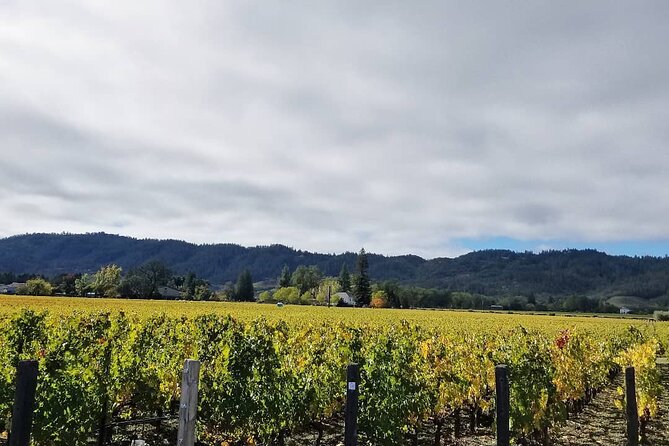 Private Wine Tour of Napa Valley - FAQ