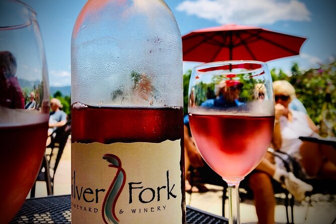 Private Wine Tour with Dine in Black Mountain from Asheville - Second Stop: Silver Fork Winery