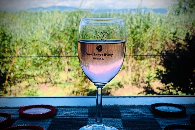 Private Wine Tour with Dine in Black Mountain from Asheville - Wrap Up in Asheville  
