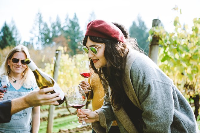 Private wine tour with local Sommelier. - The Sum Up