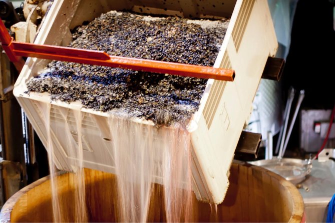 Private Wine Tour with Tastings from Eugene - An Honest Look at the Private Wine Tour from Eugene