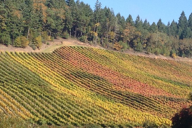 Private Wine Tour with Tastings from Eugene - Why This Tour Stands Out