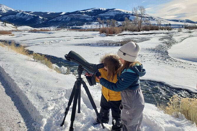 PRIVATE Wolf & Wildlife Watching in Yellowstone's Lamar Valley - Who Would Enjoy This Tour?