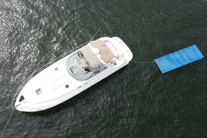 Private Yacht Rental Miami, Customizable Tours, Dolphin Watching - Practical Aspects & Booking Details