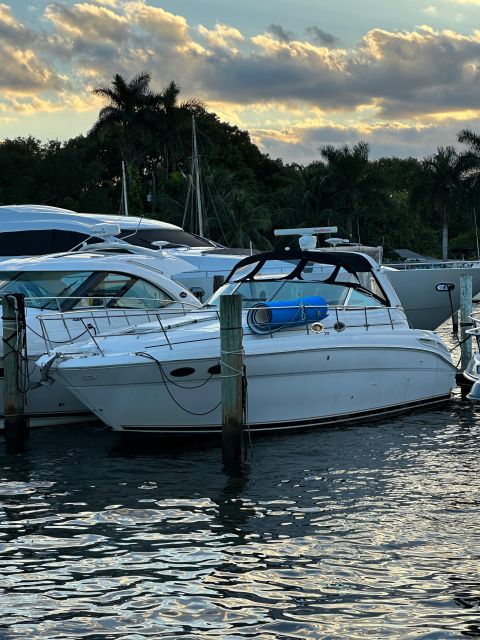 Private  Yacht Rentals  4h  Champagne gift - Who Will Love This Experience?