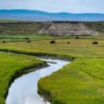 Private Yellowstone Highlights Tour - Practicalities and Considerations
