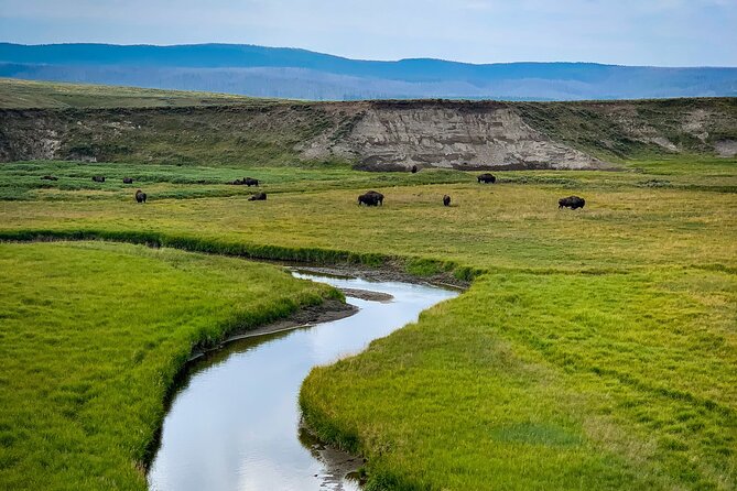 Private Yellowstone Highlights Tour - Practicalities and Considerations
